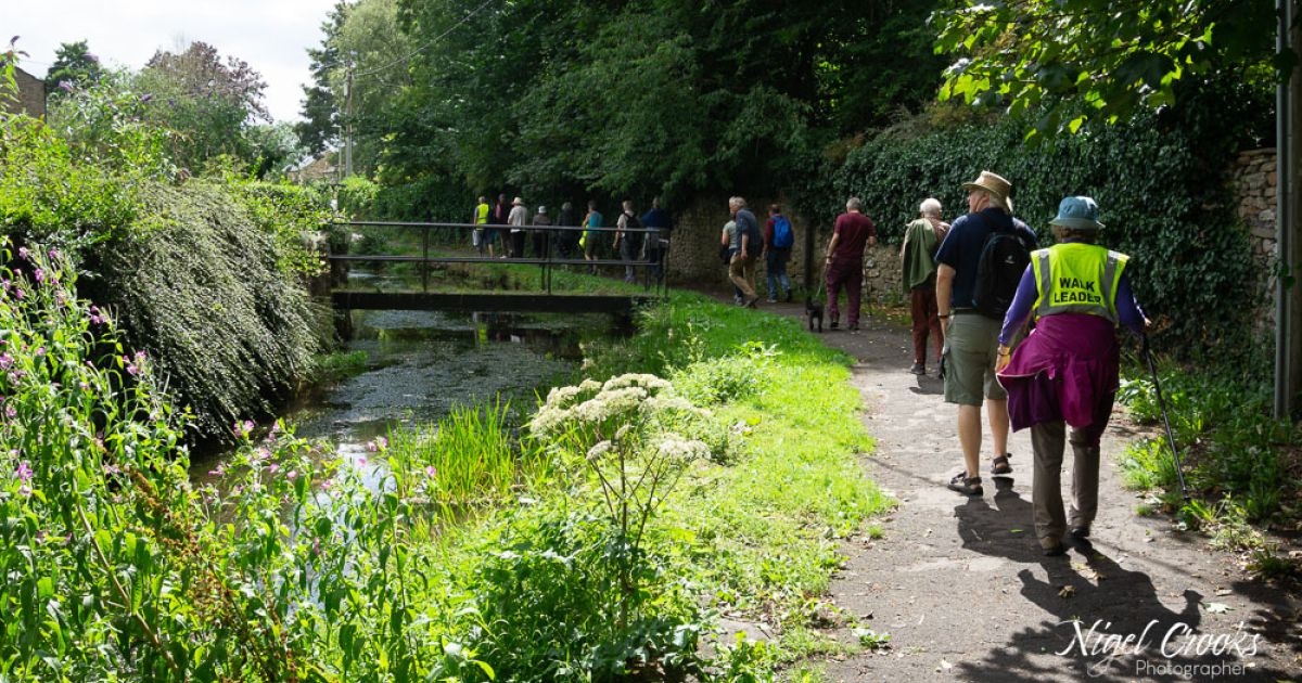 Settle Mince Pie Walk
